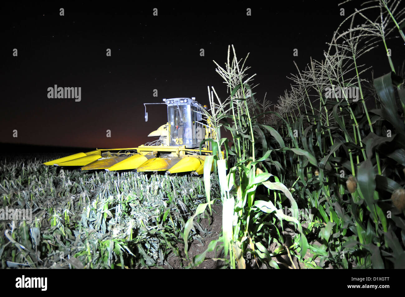 A night shot of a John Deere Corn picker in a corn field ready for ...