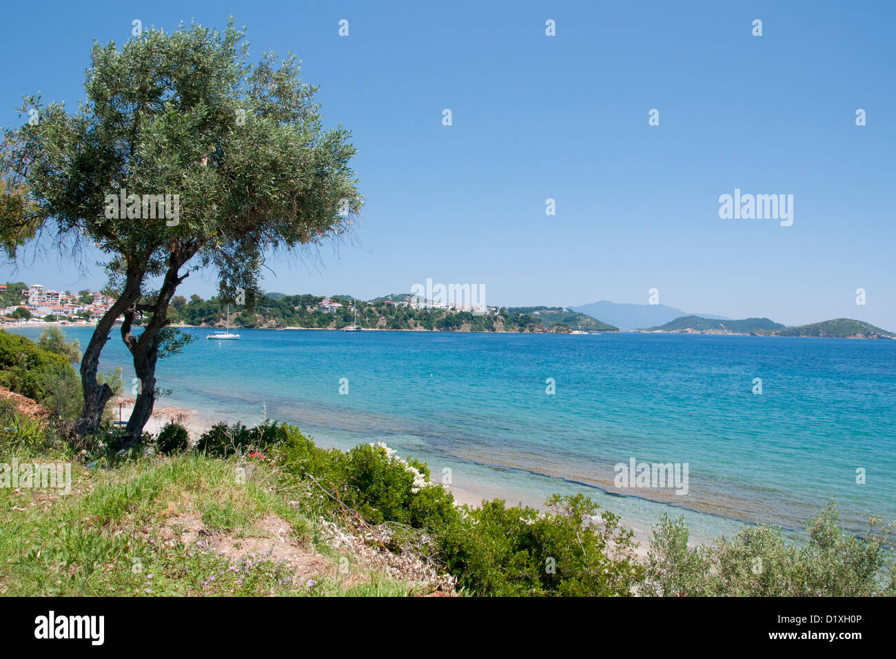 Skiathos Beach High Resolution Stock Photography and Images - Alamy