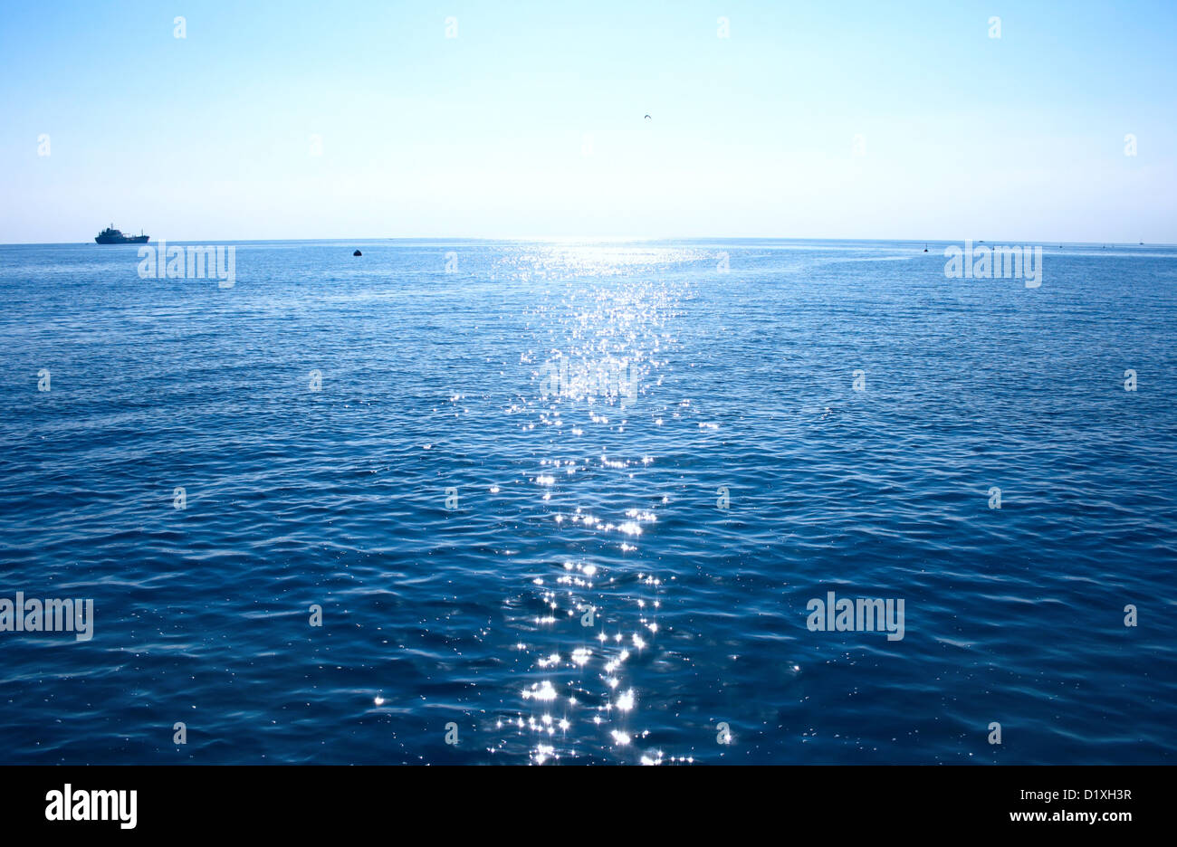 Morning shining sea water surface hi-res stock photography and images ...