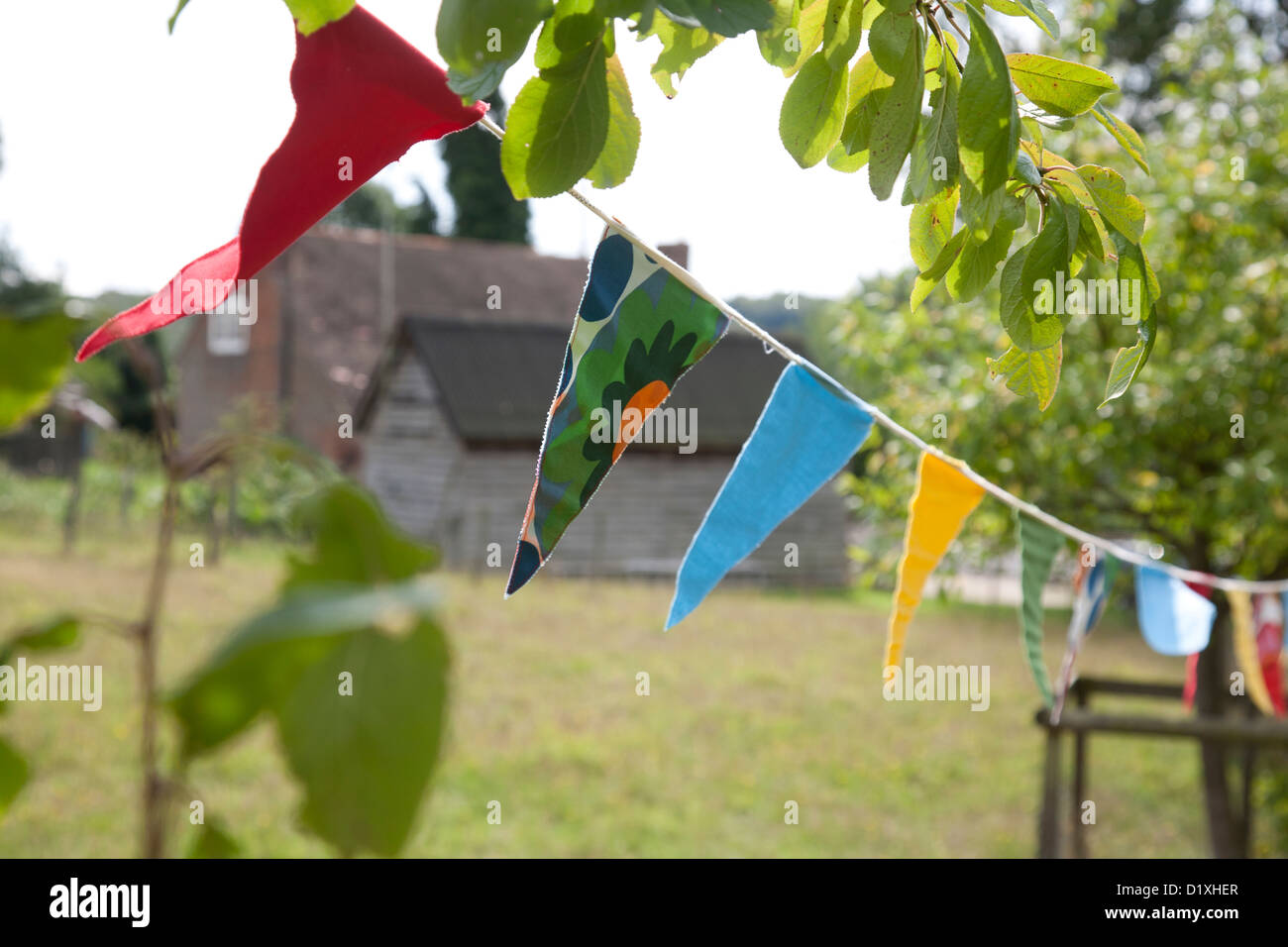 coloured fabric bunting strung between trees in rural kentish orchard ...