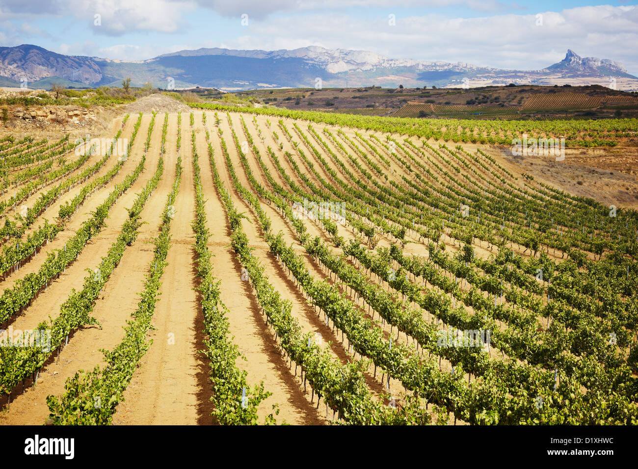 Rioja alavesa wine route hi-res stock photography and images - Alamy