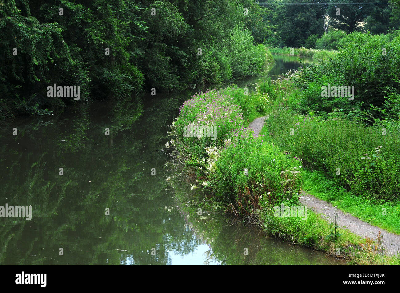 Basingstoke canal hampshire uk hi-res stock photography and images - Alamy