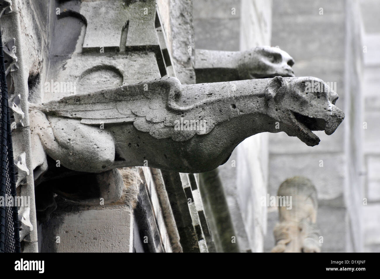 Gargoyles standing on Notre-Dame de Paris, France Stock Photo - Alamy