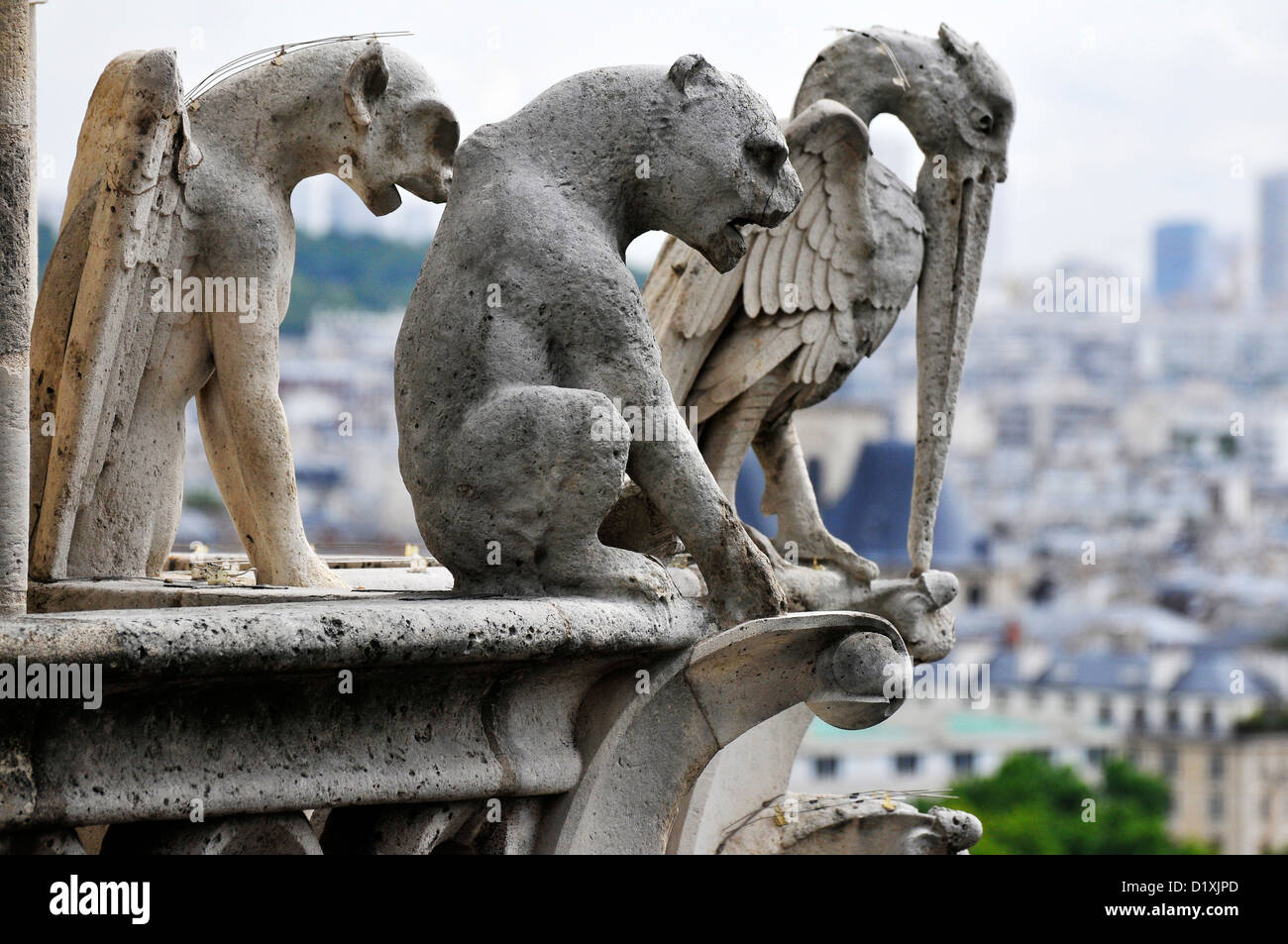 Gargoyles standing on Notre-Dame de Paris, France Stock Photo - Alamy