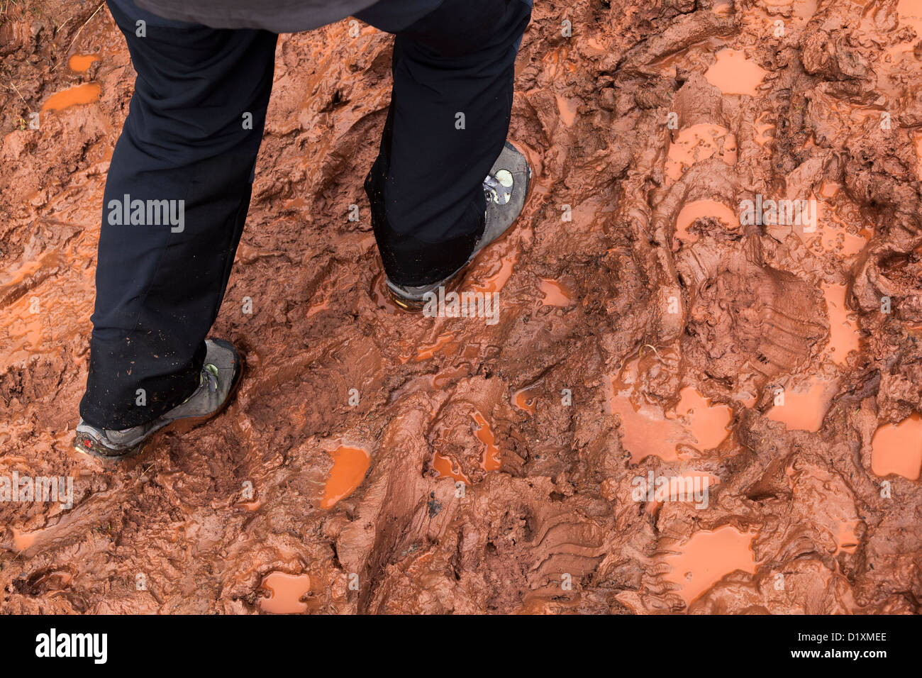 Muddy footprints hi-res stock photography and images - Alamy