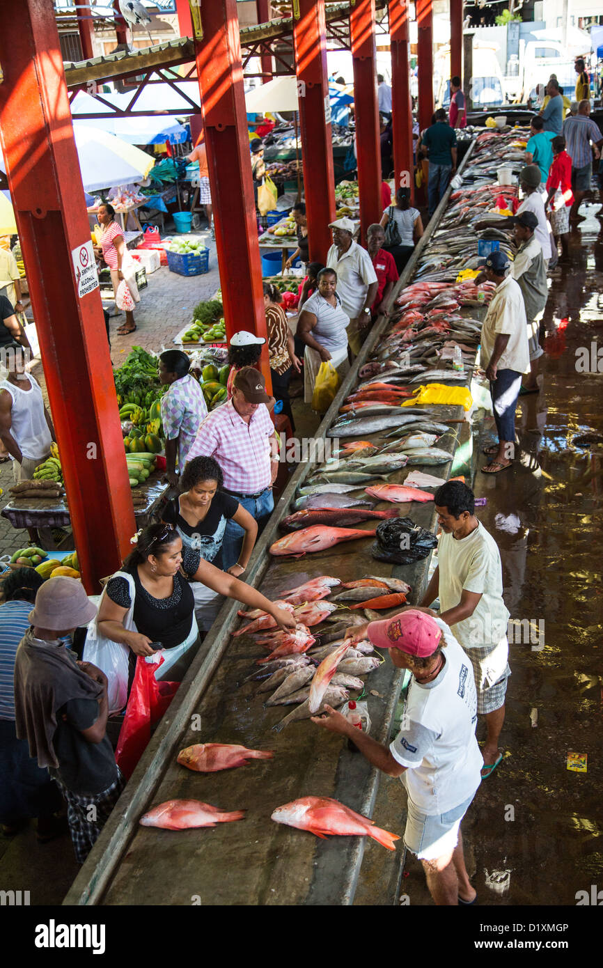 Victoria fish market, Mahe Island, Seychelles Stock Photo - Alamy
