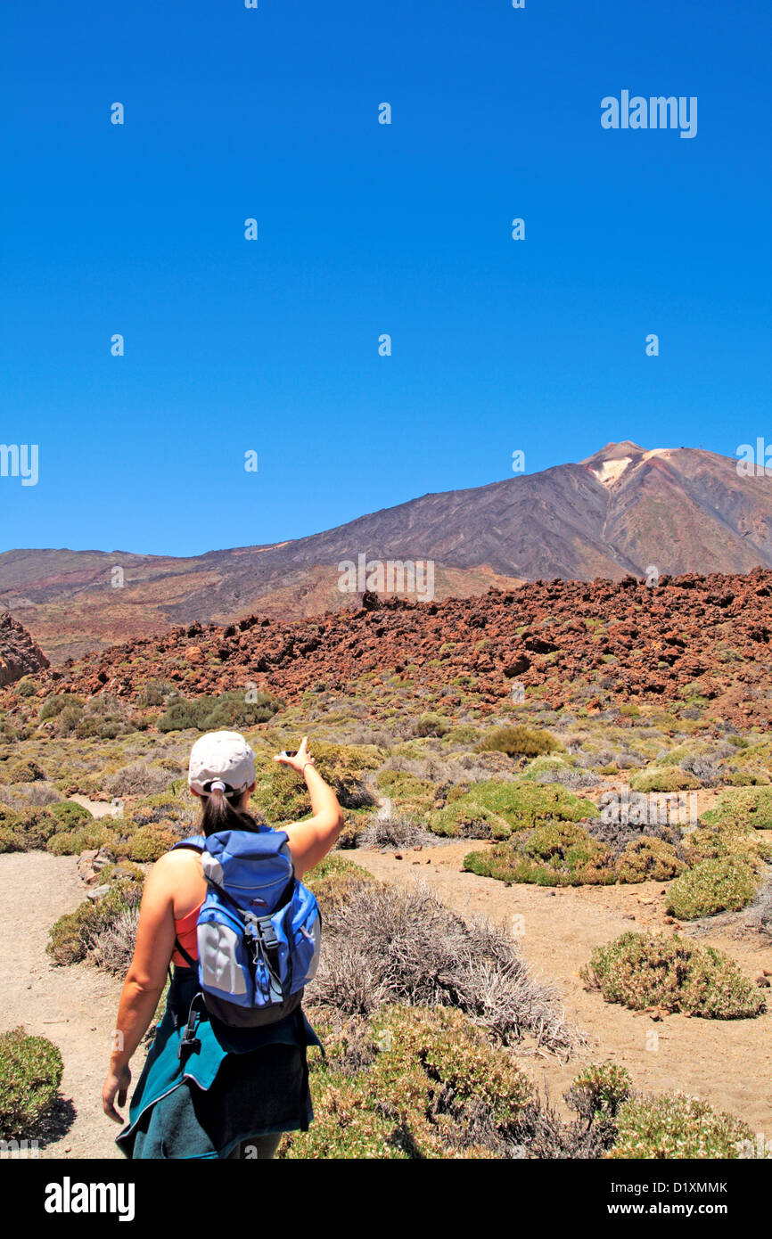 World heritage Natural Park Mount Teide in Tenerife island (spain Stock ...