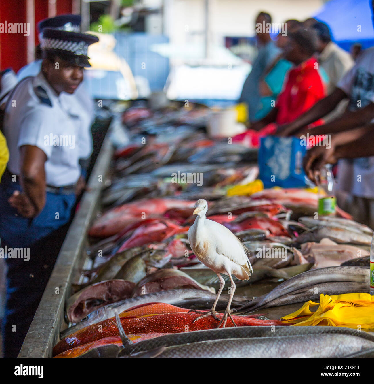 Victoria fish market, Mahe Island, Seychelles Stock Photo - Alamy