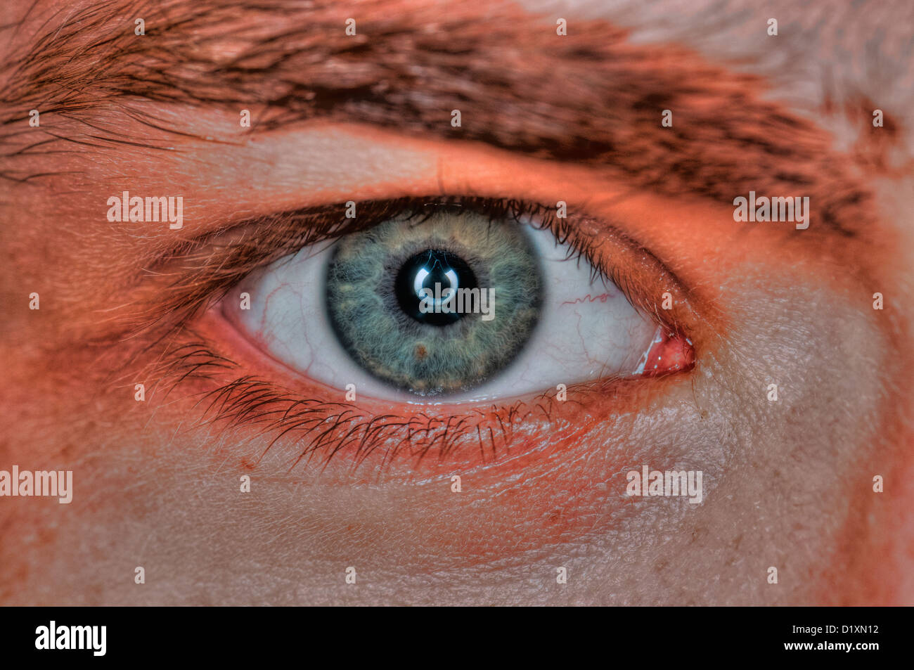 Extreme closeup of a human eye grey Stock Photo - Alamy