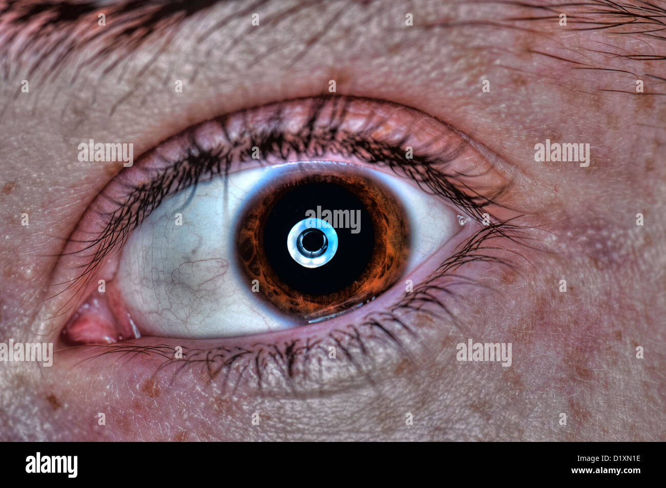 Human eyelid hi-res stock photography and images - Alamy