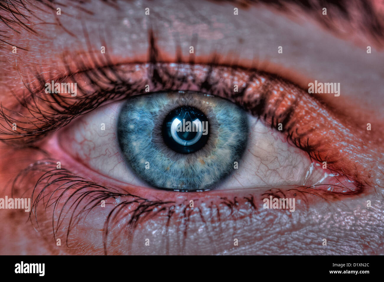 Human eyelid hi-res stock photography and images - Alamy