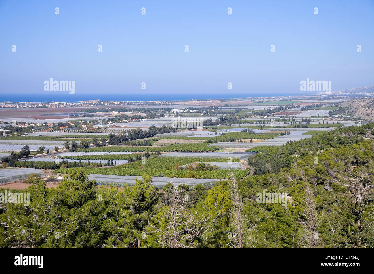 Israel, Coastal plains as seen from the Carmel mountain Mediterranean ...