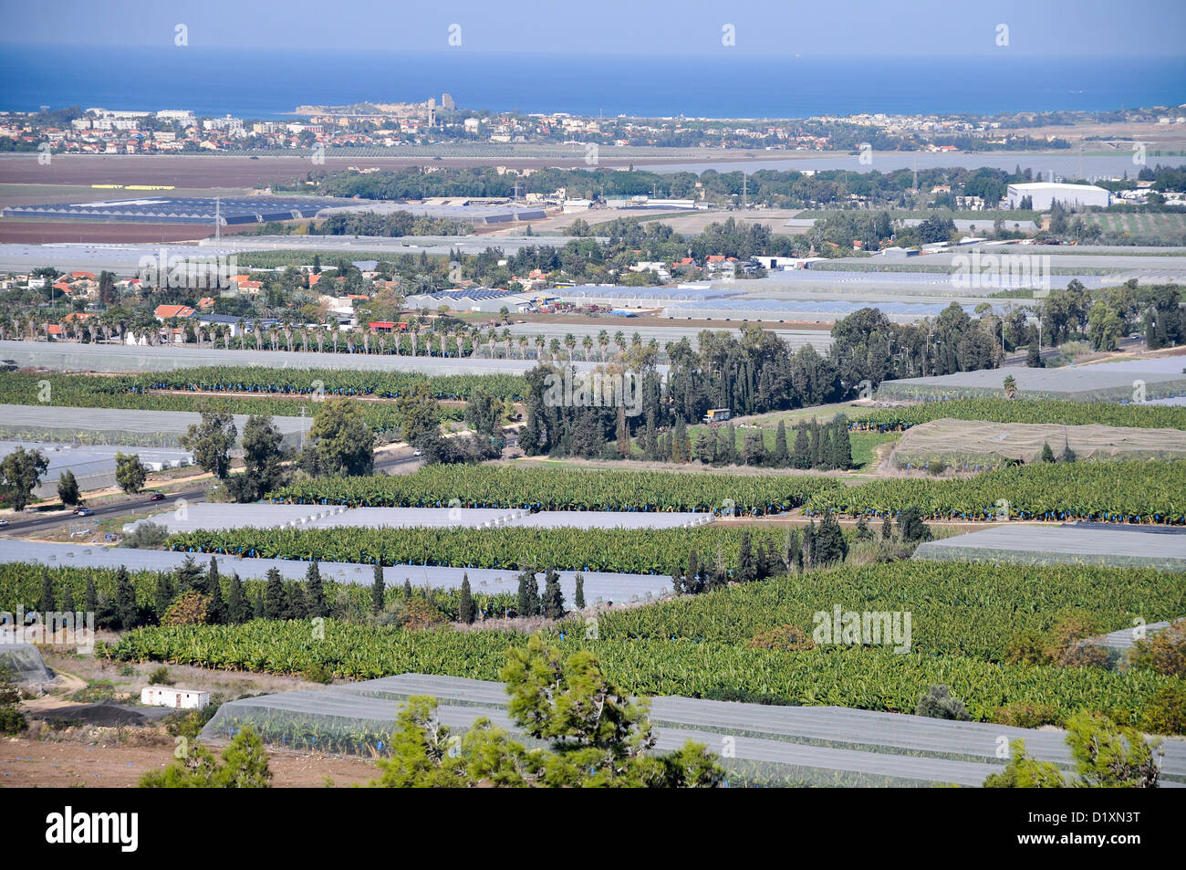 Israel, Coastal plains as seen from the Carmel mountain agricultural ...