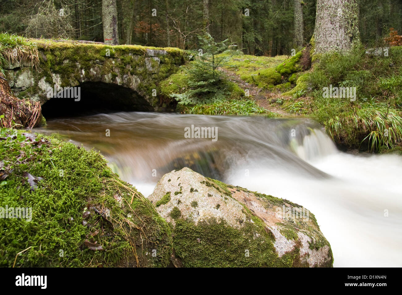river passing under a stone bridge in France Stock Photo - Alamy
