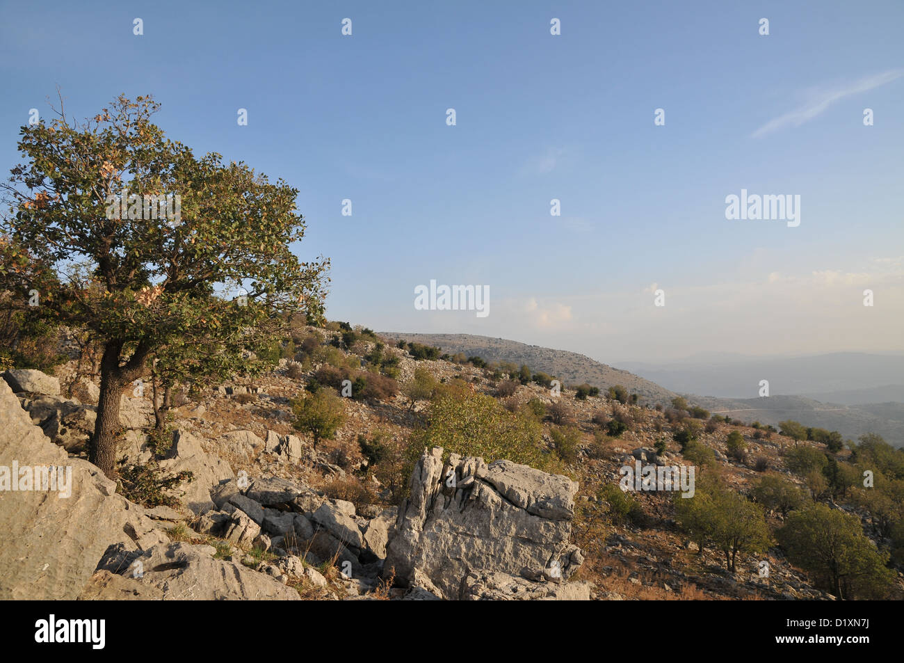 Israel, Golan Heights Stock Photo - Alamy