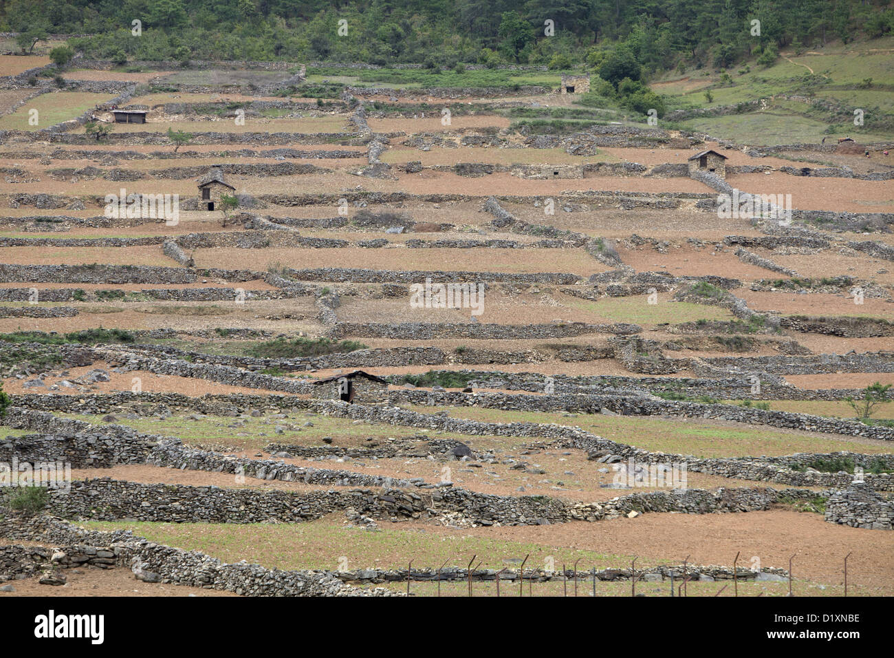 Basti hi-res stock photography and images - Alamy