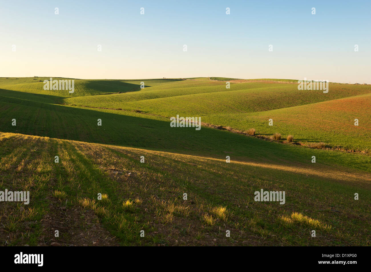Rolling landscape in the fields of Alentejo, Portugal Stock Photo - Alamy