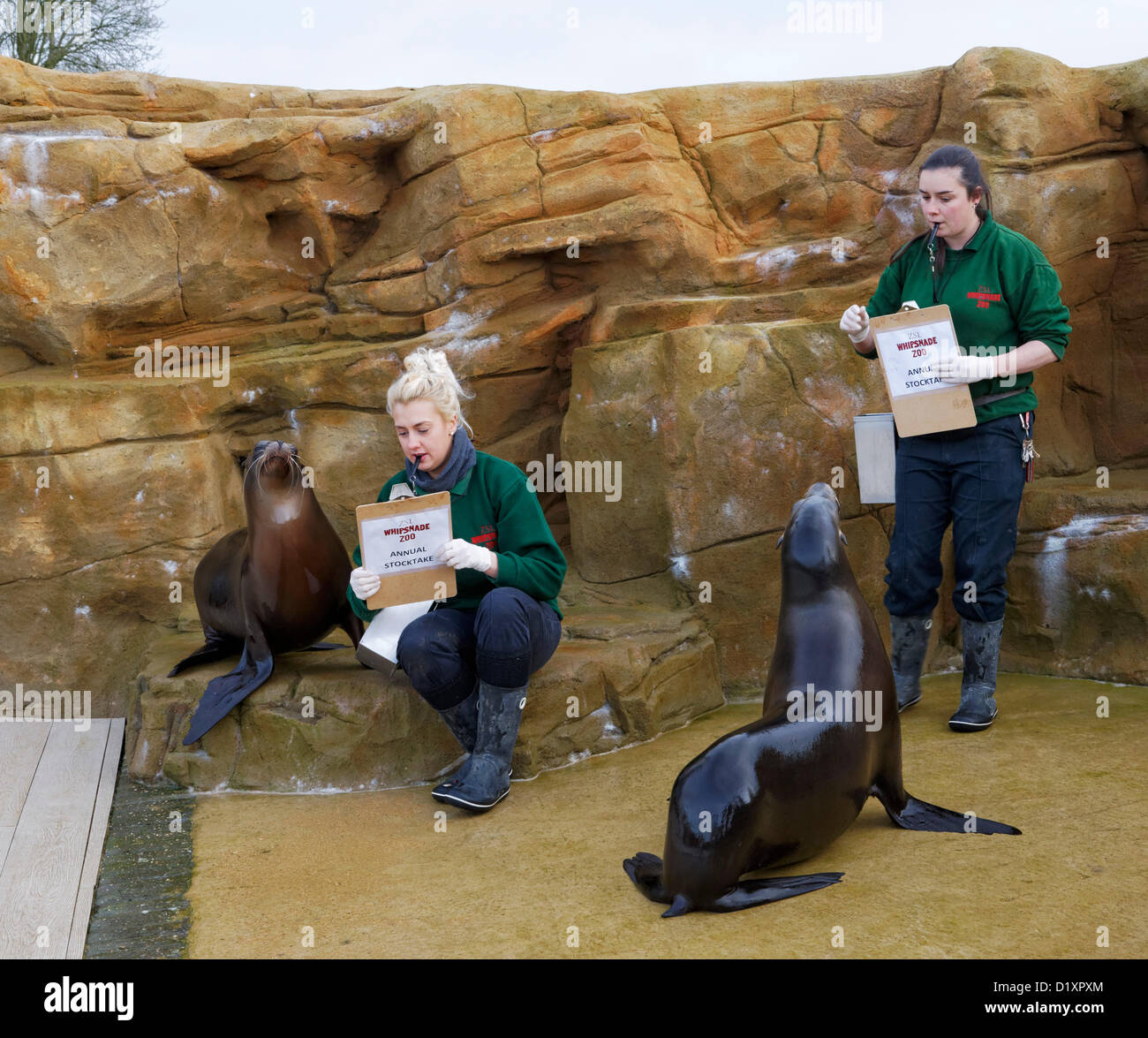 Annual stocktake whipsnade zoo hi-res stock photography and images - Alamy