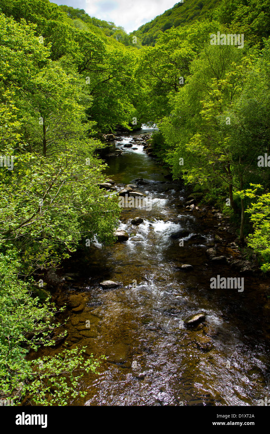 Stream running through wood hi-res stock photography and images - Alamy