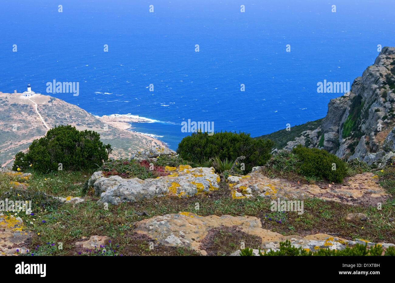 Tunisia, the Cap Bon sea cliffs Stock Photo - Alamy