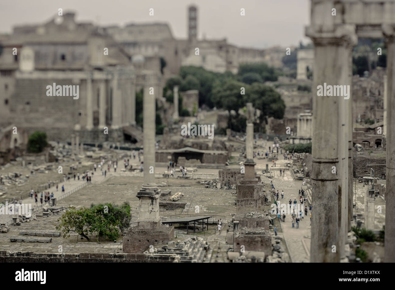 View of the Roman Forum, Rome, Italy Stock Photo - Alamy