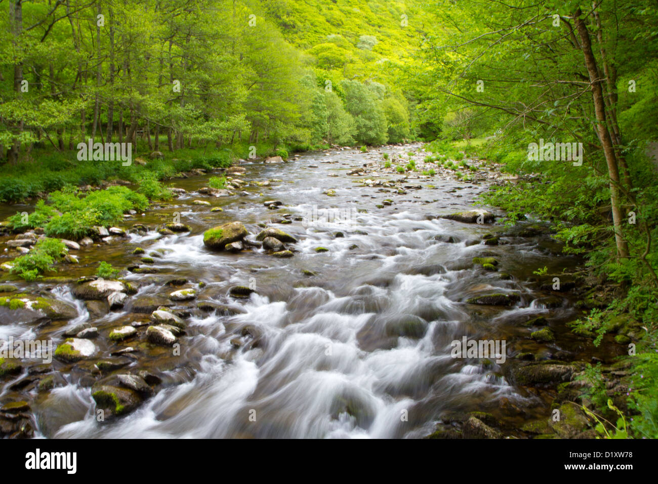 English river in countryside near Devon Stock Photo - Alamy