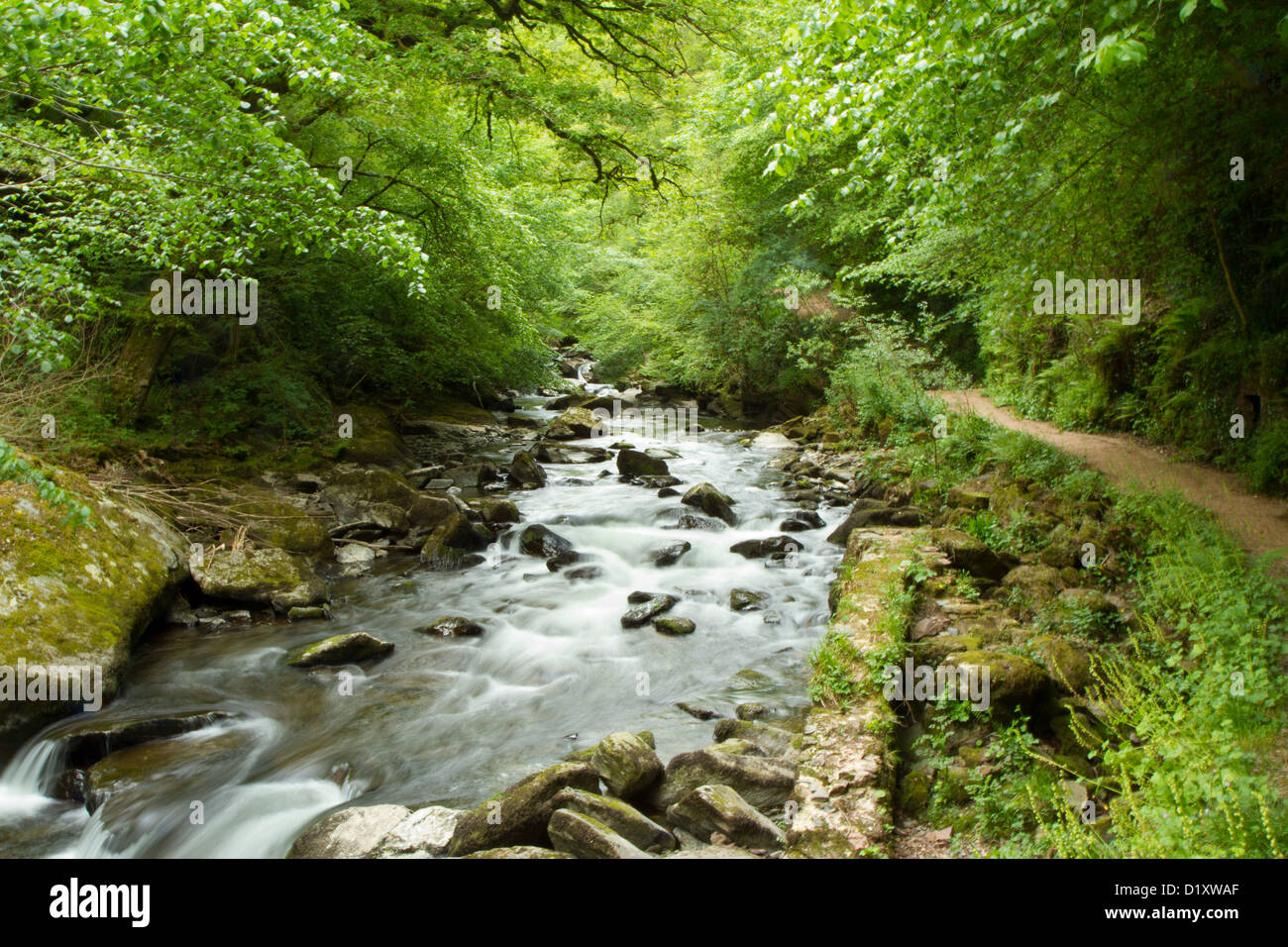 Brook running through English countryside in Devon Stock Photo - Alamy