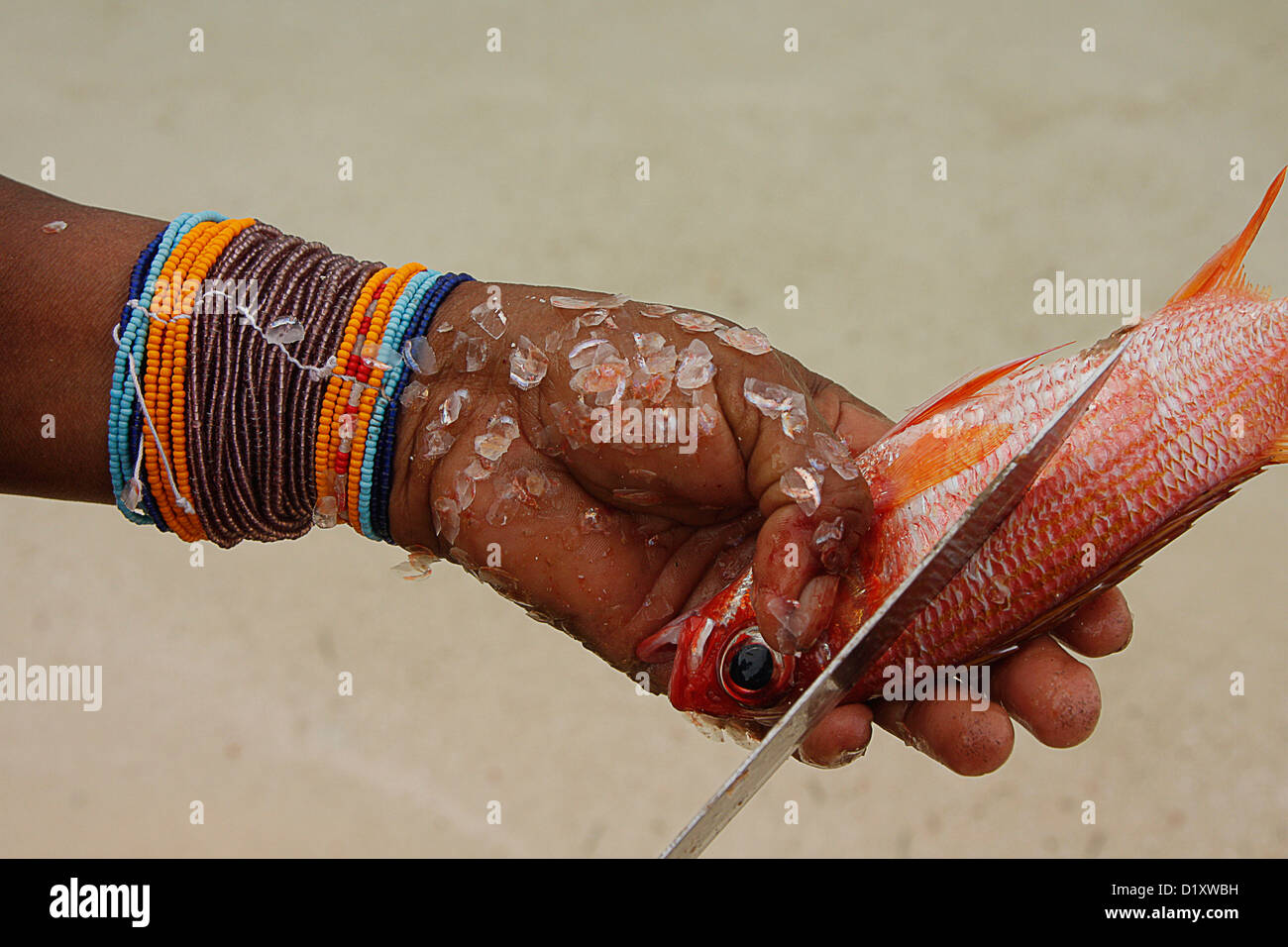 kuna catching fish and cleaning it Stock Photo - Alamy