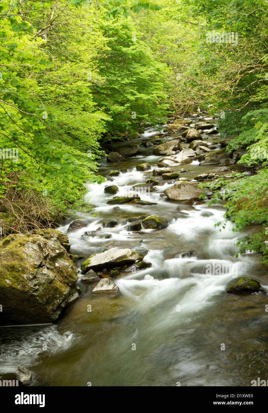 Stream running through English countryside in Devon Stock Photo - Alamy