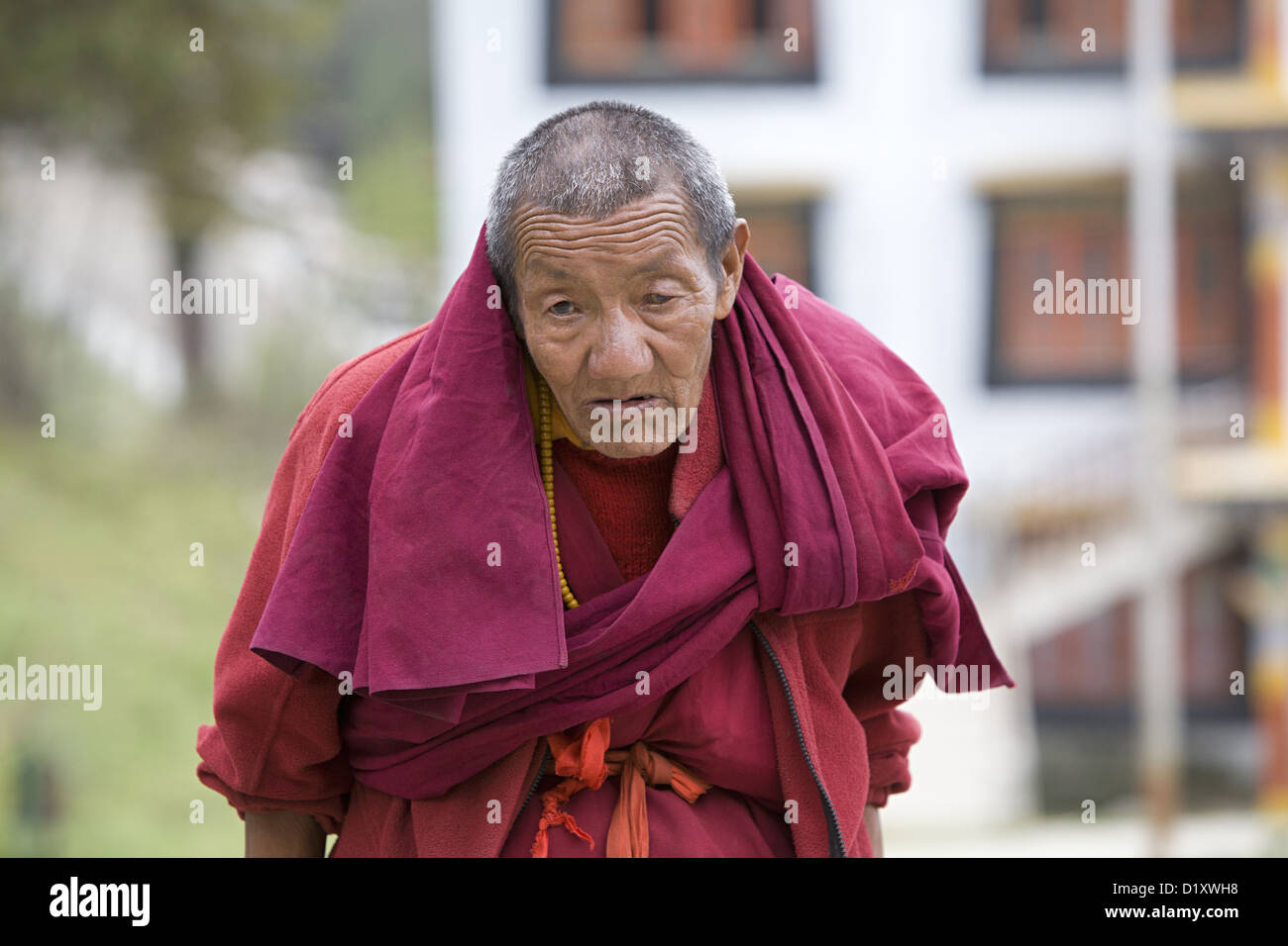 Indian buddhist devotees hi-res stock photography and images - Alamy