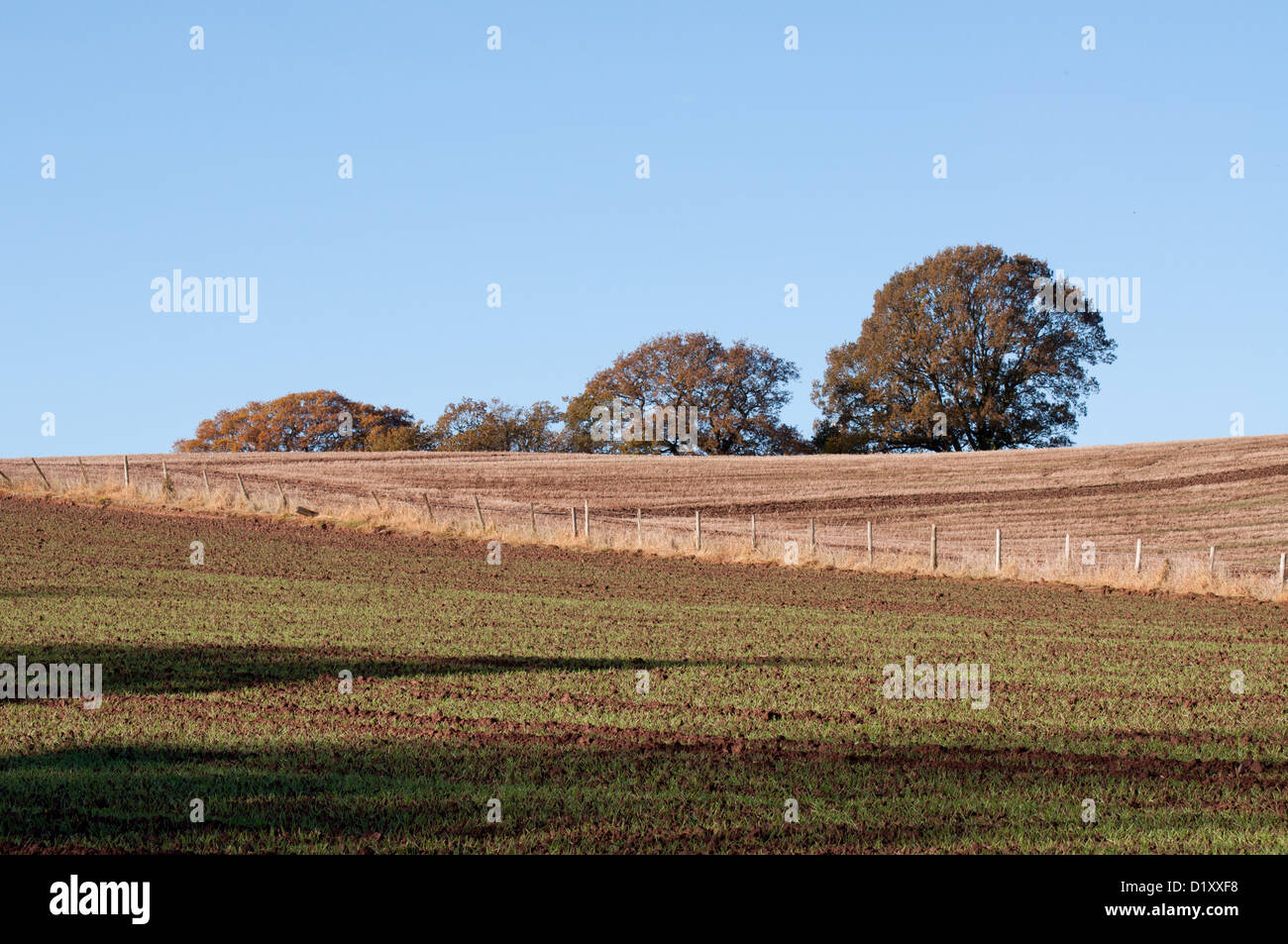 ploughed field, Autumn, furrows, landscape, trees, hedgerows, pastoral ...