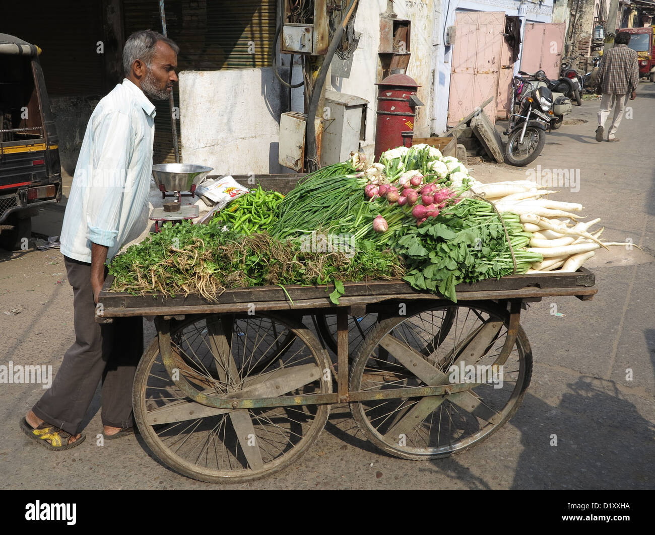 mobile vegetable on a stand in Jaipur, India Stock Photo - Alamy