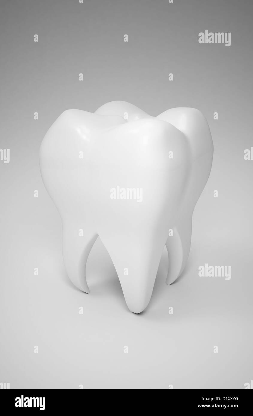 a white tooth Stock Photo - Alamy
