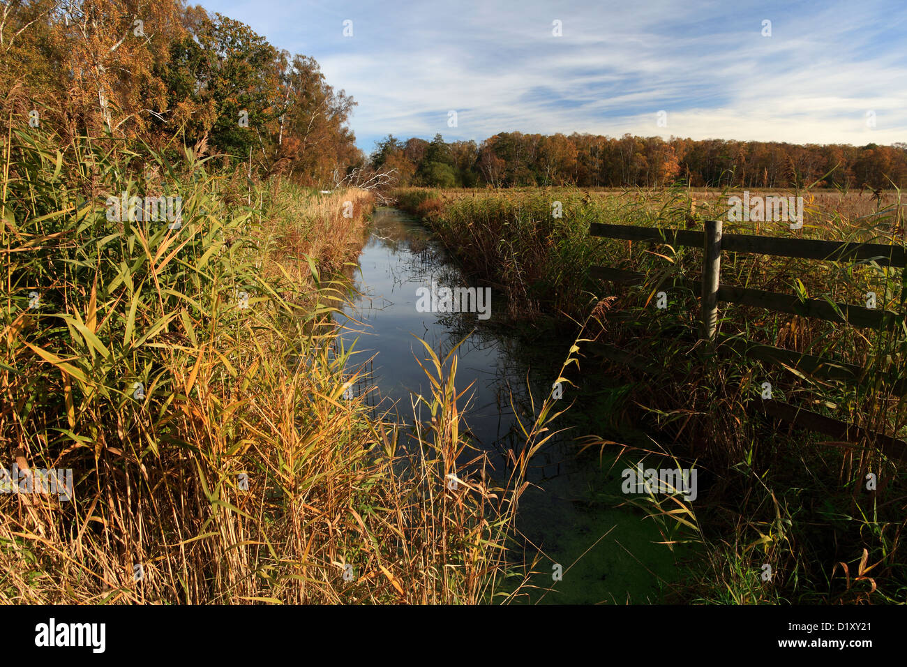 English nature reserve hi-res stock photography and images - Alamy