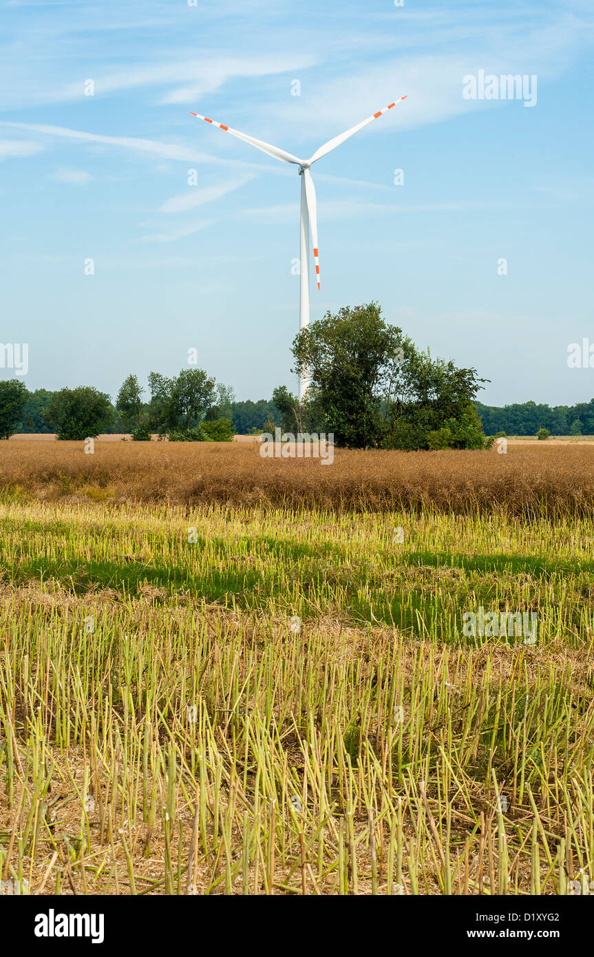 Windturbines in the summer time Stock Photo - Alamy