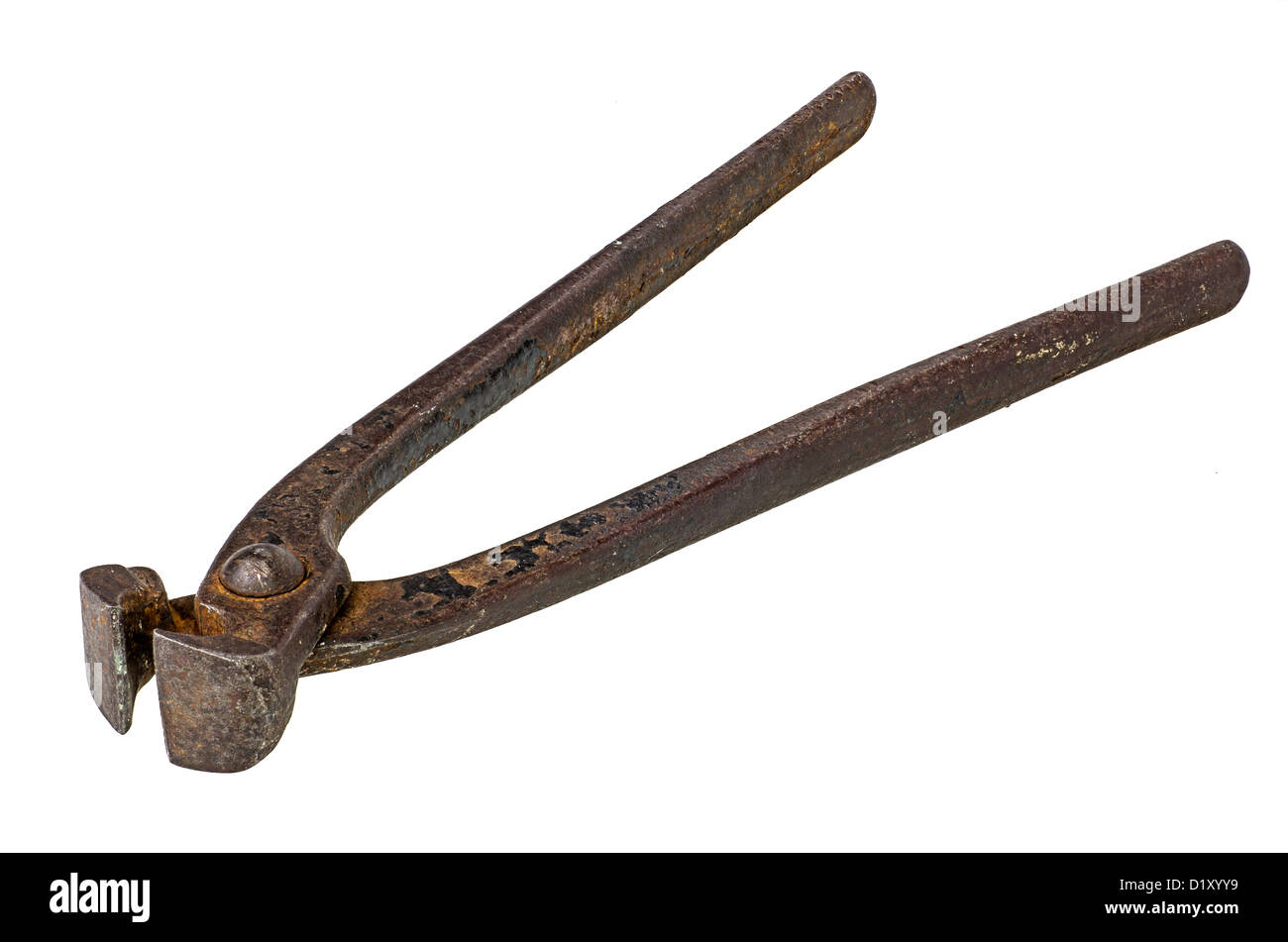 Pincers hi-res stock photography and images - Alamy