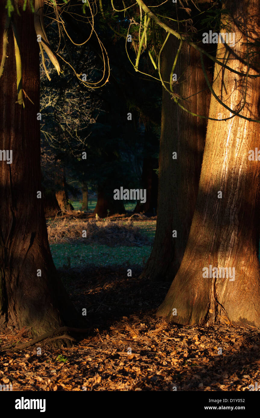 Sunlight strong shadows hi-res stock photography and images - Alamy