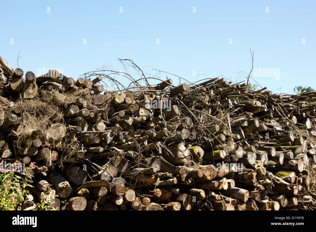 Pack of wood Stock Photo - Alamy