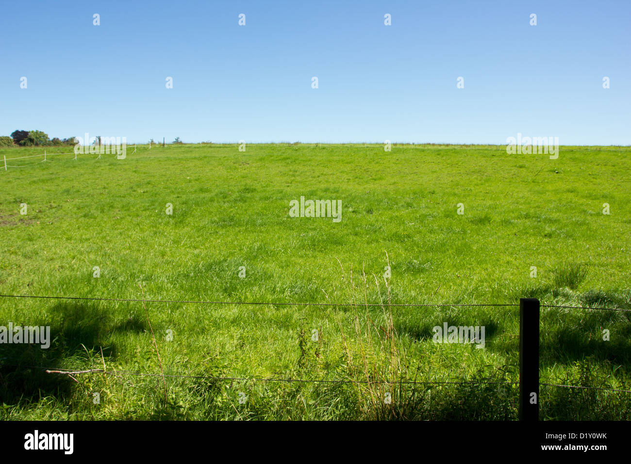 Grassland ecosystem hi-res stock photography and images - Alamy