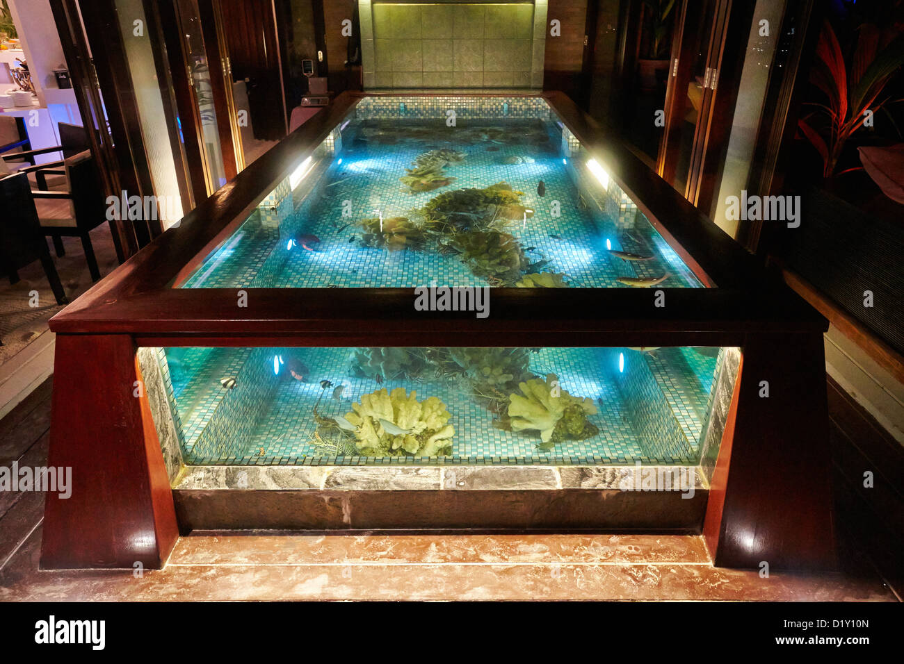 Lobster tank in a restaurant of Lily Beach resort in the Maldives Stock ...