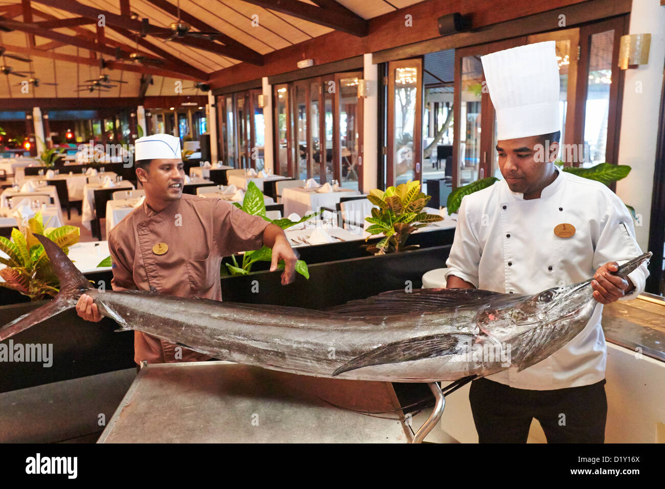 Chefs display a large sail fish in a restaurant in Lily Beach resort in ...