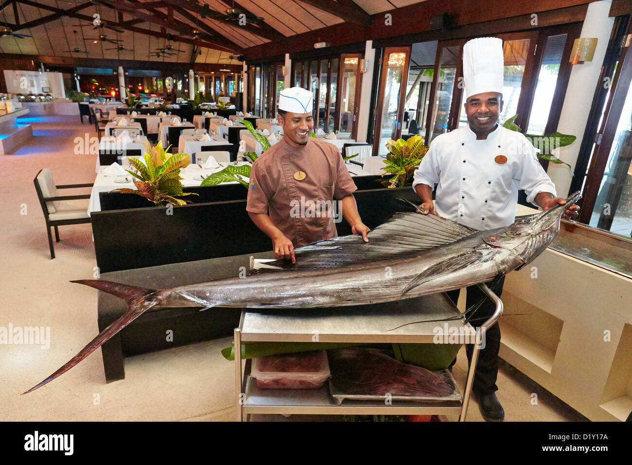 Chefs display a large sail fish in a restaurant in Lily Beach resort in ...