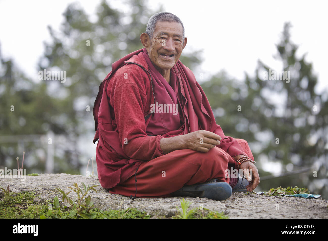 Monk sitting on floor Tawang Monastery, Arunachal Pradesh, India Stock ...