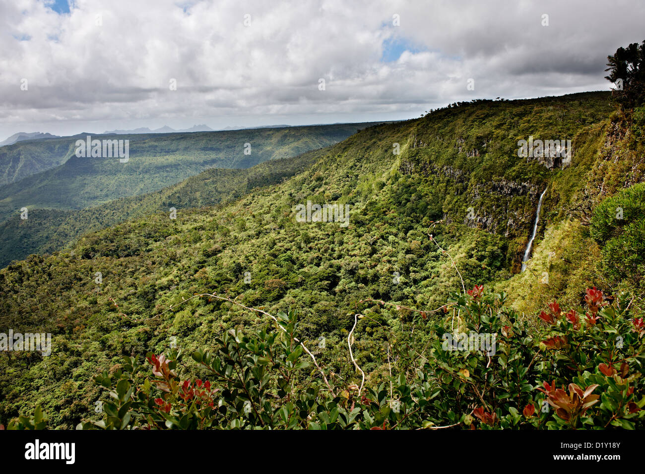 Black river gorges national park hi-res stock photography and images ...