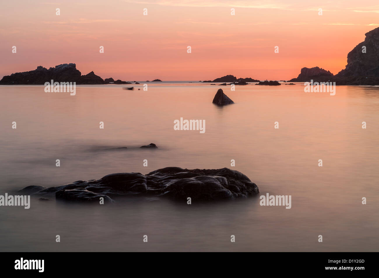 Lizard sunset hi-res stock photography and images - Alamy