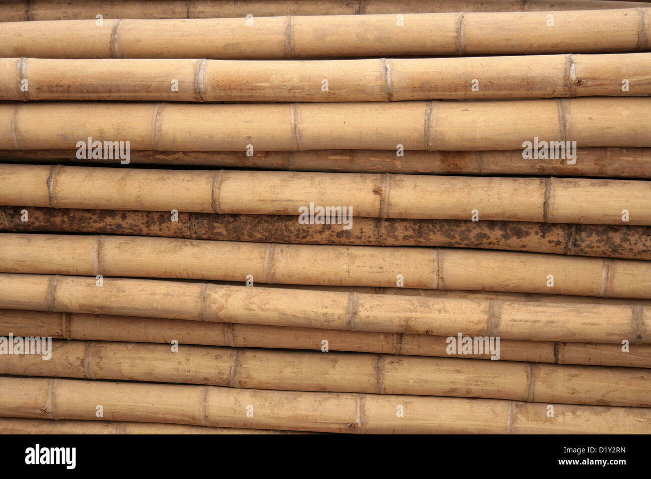 Freshly cut bamboo poles are stacked and ready for sale at an outdoor ...