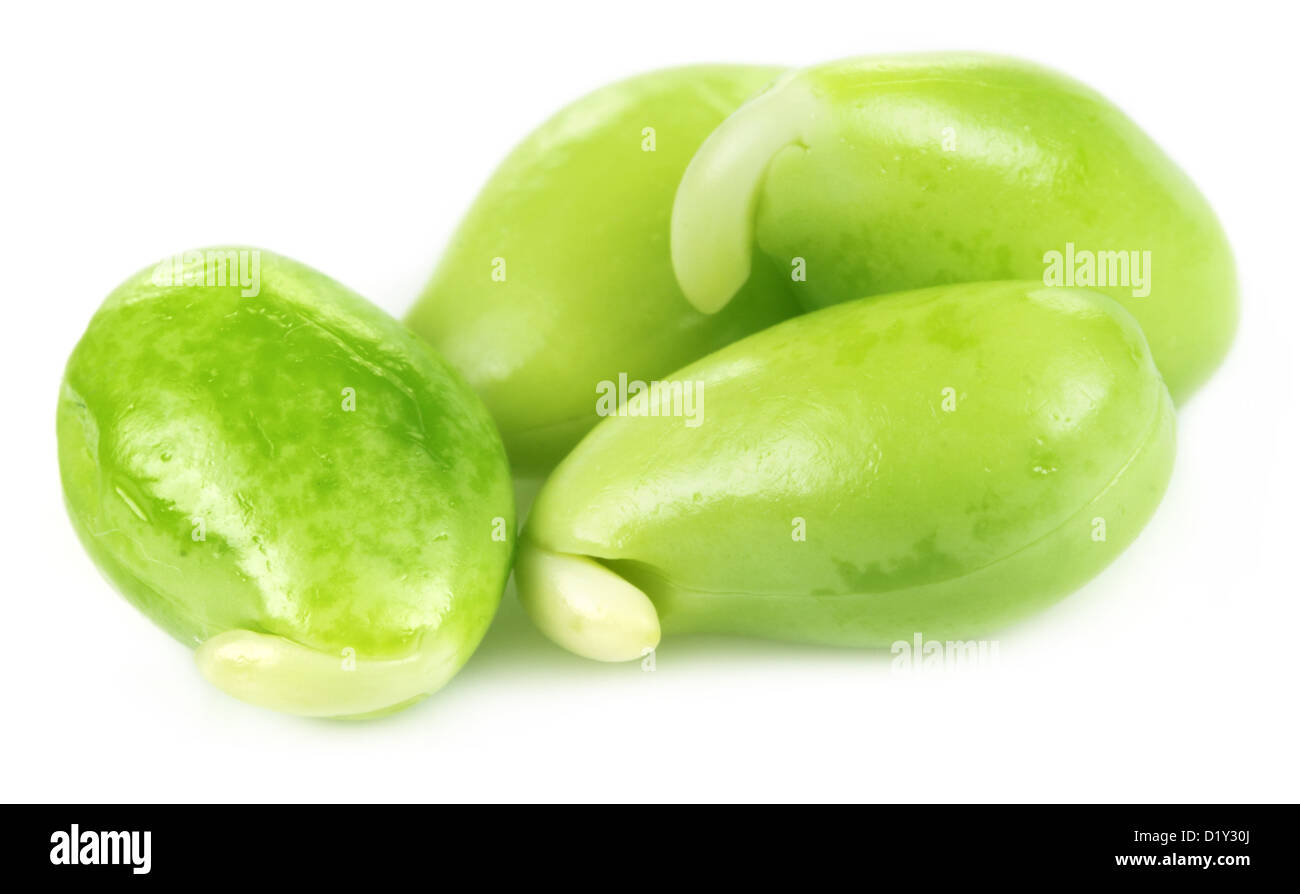 Edible seeds of hyacinth bean or Indian bean Stock Photo - Alamy