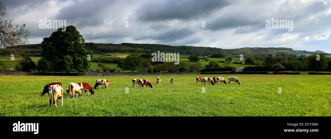 Summer view of Longstone Edge, Little Longstone village, Peak District ...