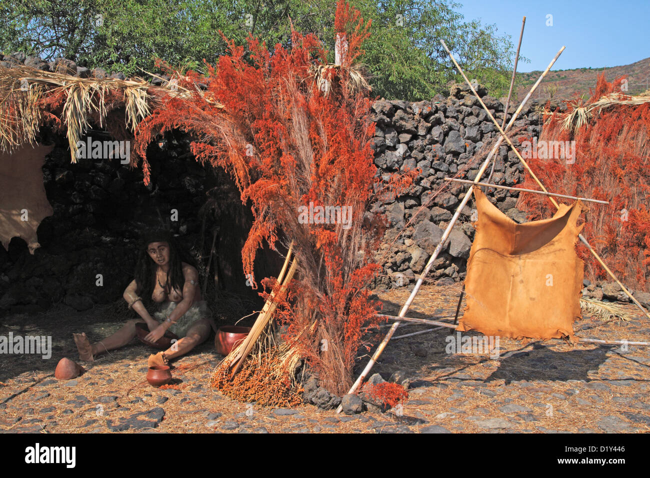 statue of a canarian guanche Stock Photo - Alamy
