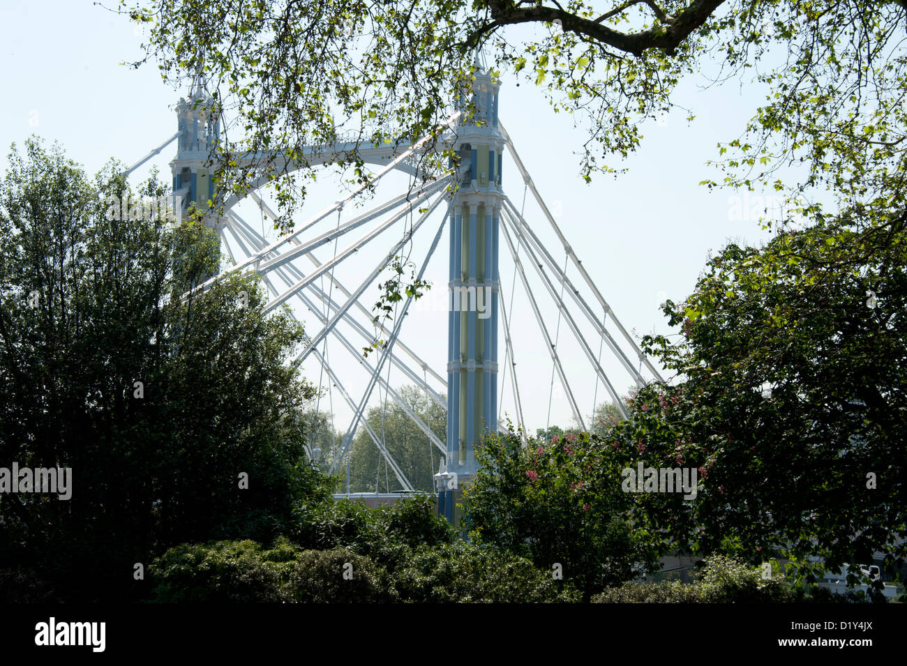 Albert Bridge London Stock Photo - Alamy